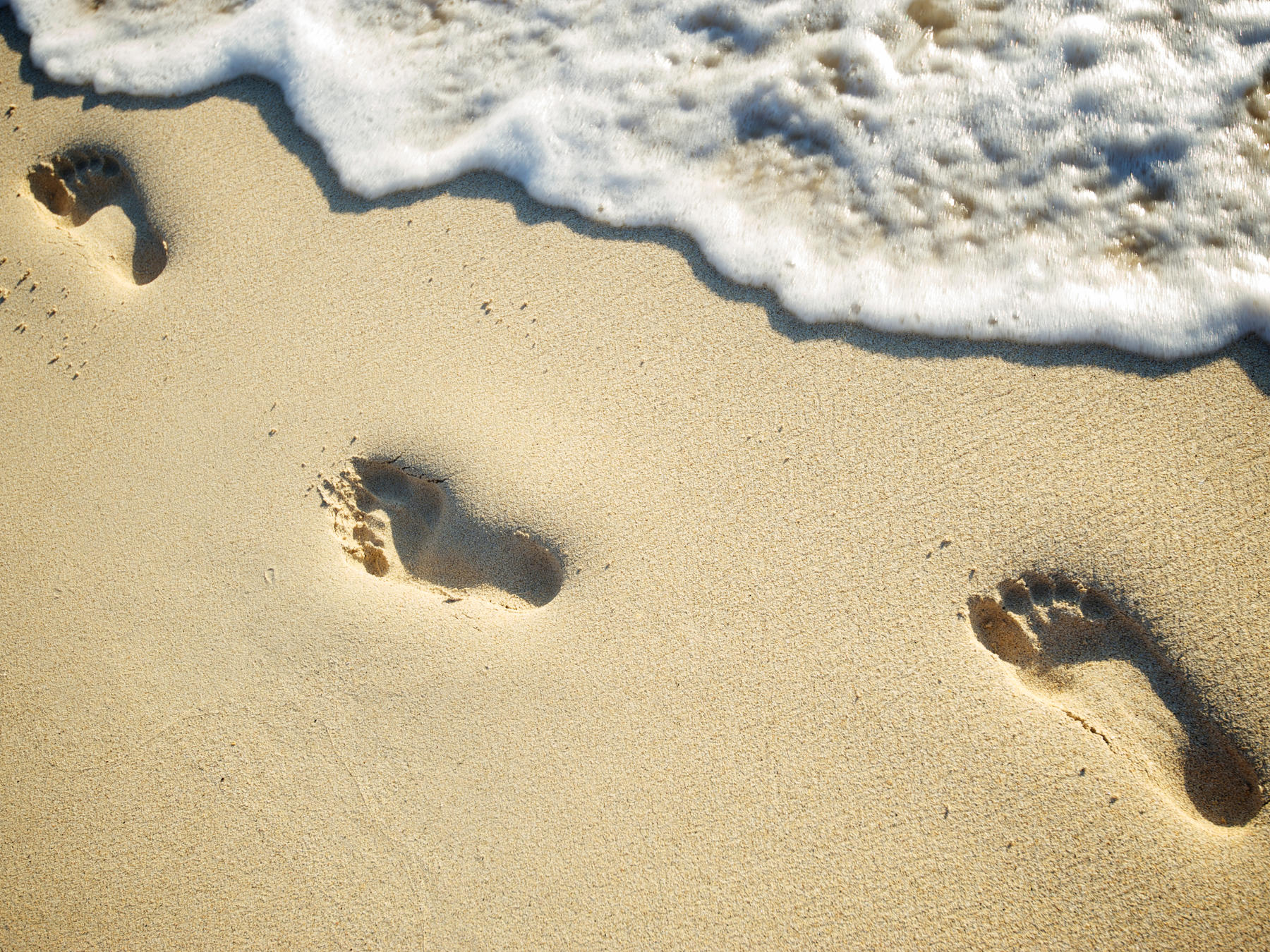 Health First Health Plans Member Resources | Health First